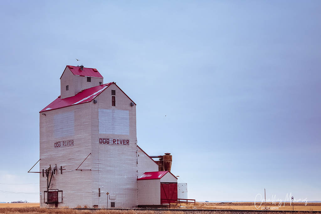 DOG RIVER, SASKATCHEWAN or ROULEAU, SASK – CRUMBLING MEMORIES